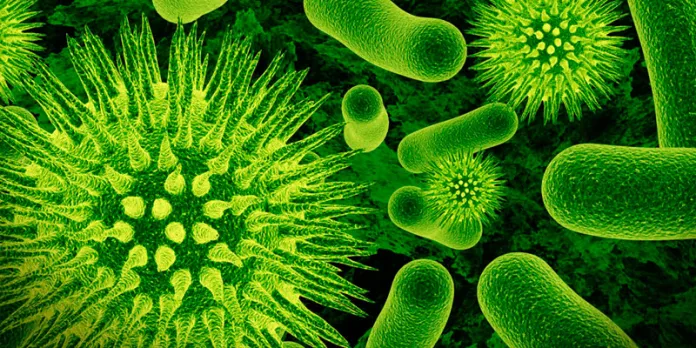 Fezes Verdes: O Que Significa? - Somos Popular - Saúde e Clínica